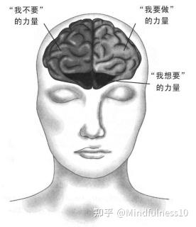自控力的重要观点 - 知乎