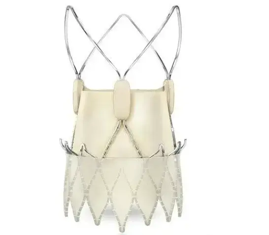 全球退市！波士顿科学公司宣布Acurate系列TAVR瓣膜停止销售 - 知乎