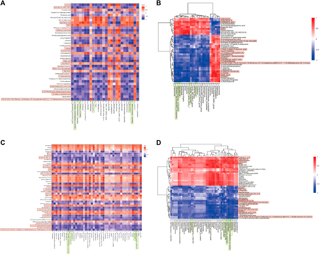 Front. Pharmacol | 成绍武/宋祯彦团队新发现！中药可调节微生物-肠-脑轴减轻阿尔茨海默病症状 - 知乎