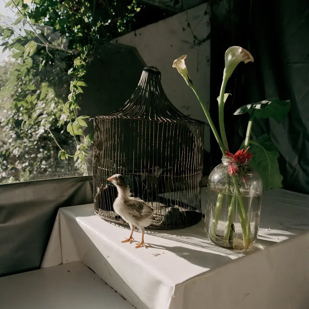 埃里克 索斯Alec Soth | 摄影集:《给年轻艺术家的建议》 - 知乎