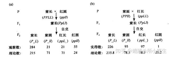 子虚乌有的遗传交换重组 - 知乎