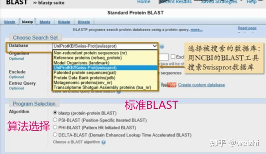 山东大学生物信息学学习笔记4—BLAST - 知乎