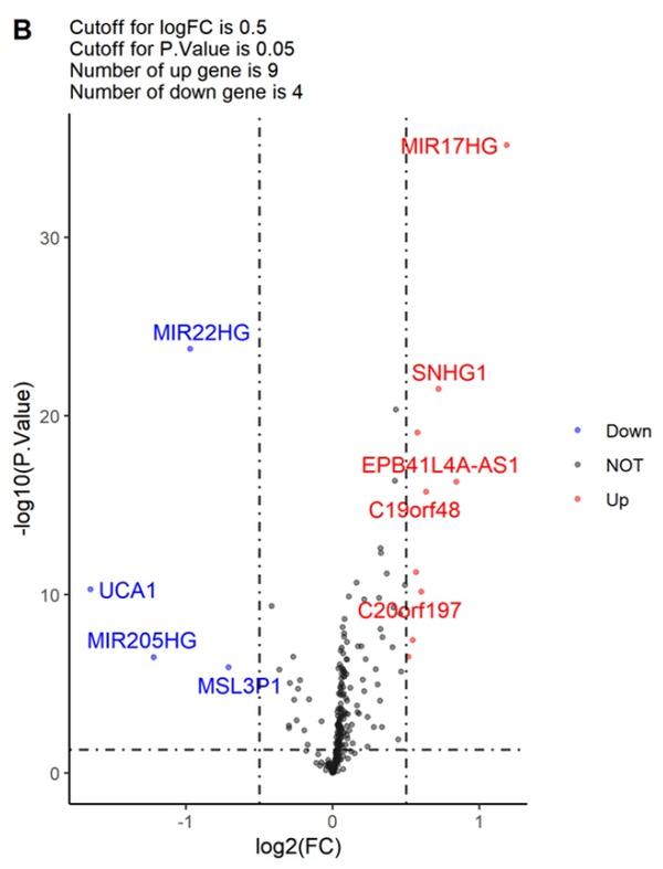 肿瘤化疗药物如何做生信？不要只盯着药敏性分析啦！不妨试着搭配机器学习算法，外加简单验证实验，四张图也能轻松拿下5.5分+！ - 知乎