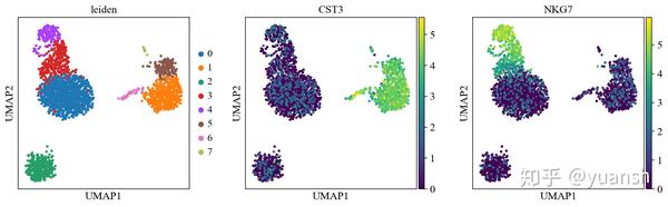 （单细胞-SingleCell）Scanpy流程——python 实现单细胞 Seurat 流程 - 知乎