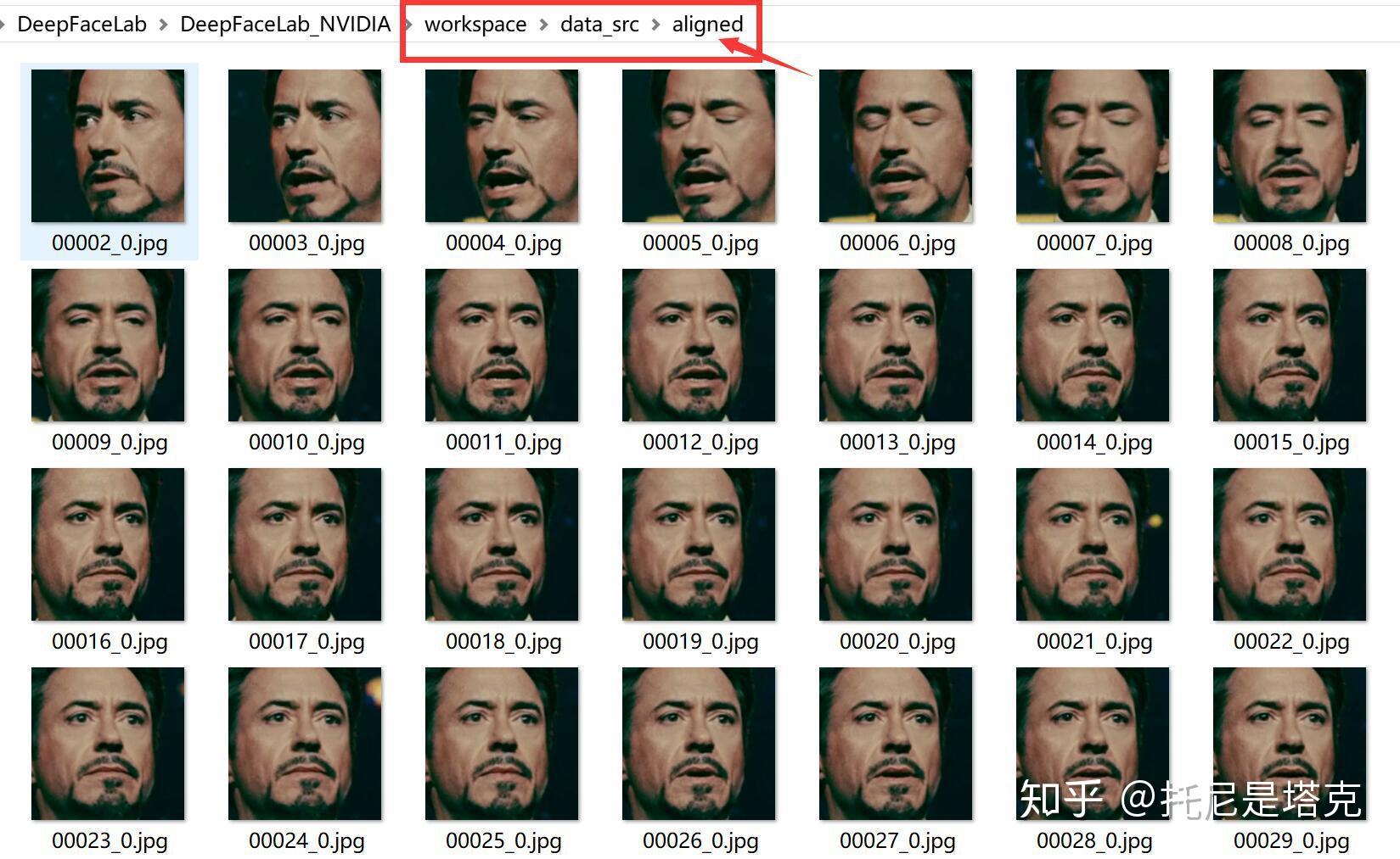 DeepFaceLab2.0 ：超详细入门教程! - 知乎