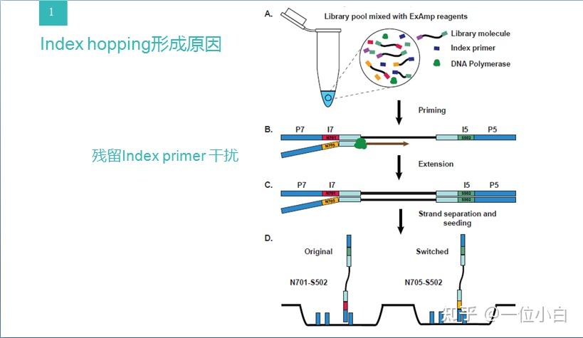 index hopping（NGS） - 知乎