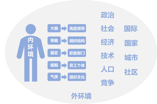 组织发展（OD）到底是什么？一文讲懂！ - 知乎