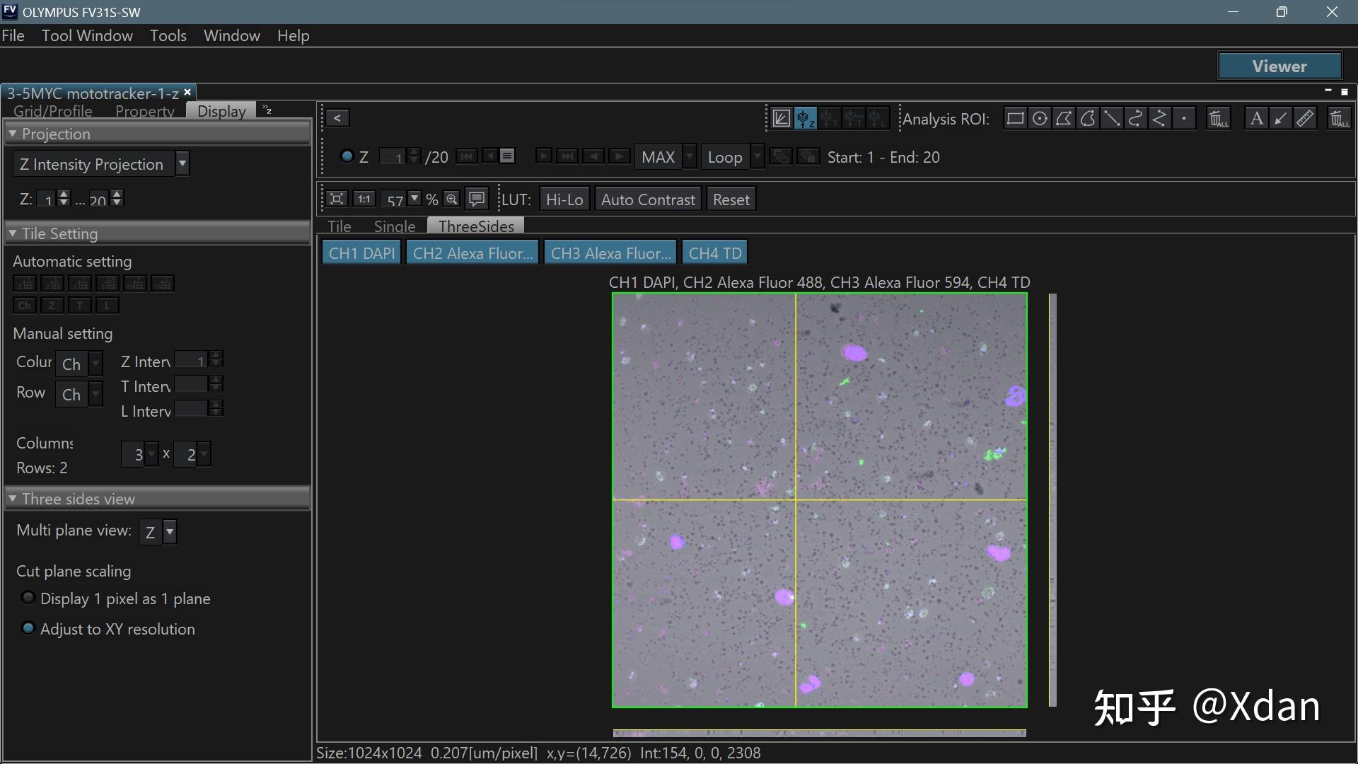 共聚焦显微镜（奥林巴斯FV3000）拍片结果z-stack层扫结果怎么在软件上分析|求助 - 知乎