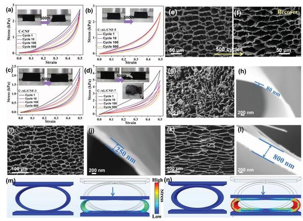 华南理工大学彭新文《AFM》：轻质、弹性碳气凝胶用于压力传感和能量储存 - 知乎