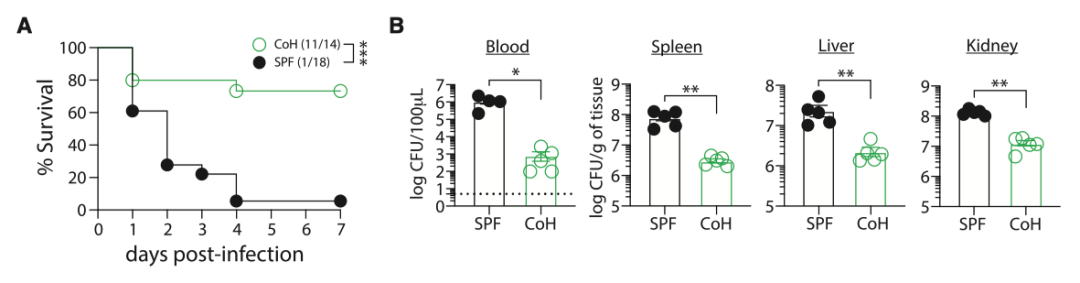 Cell Reports丨CD115+ 单核细胞保护经历过微生物感染的小鼠免受大肠杆菌诱发的脓毒症影响 - 知乎