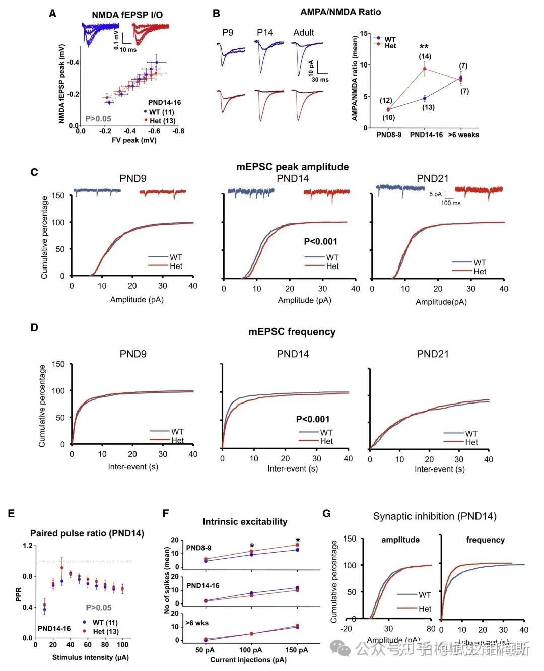 别再混淆sEPSC与mEPSC、eEPSC了！教你理清6类“PSC”的核心区别与实验应用|膜片钳电生理-突触后电流 - 知乎