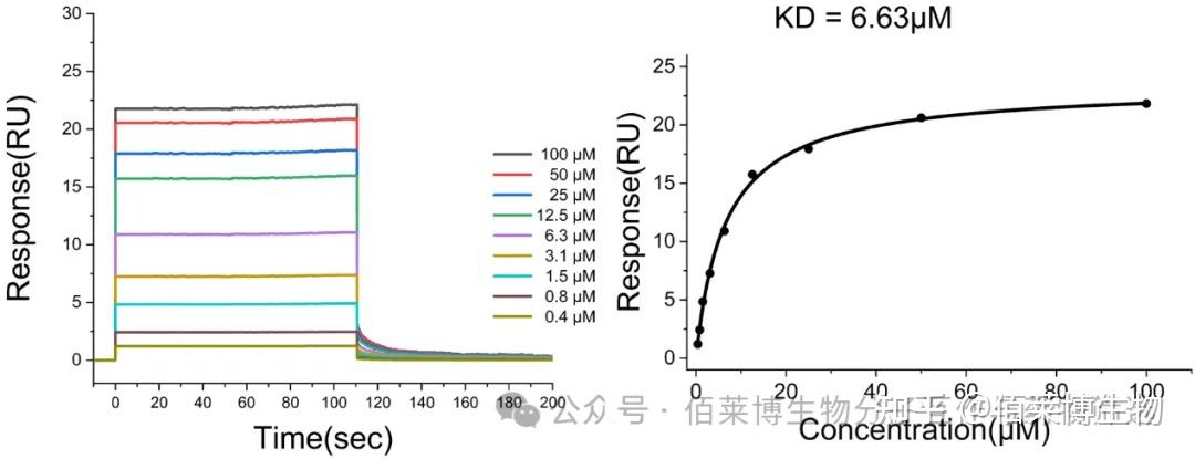药物与蛋白亲和力检测(SPR法) 实验 - 知乎