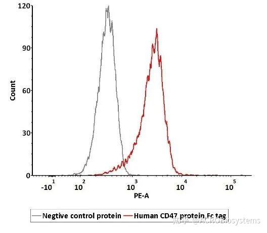 CD47：后PD-1/PD-L1时代，肿瘤免疫领域新的王牌 - 知乎