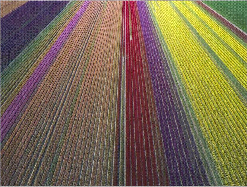 veImageX演进之路:HEIF图片编码压缩与优化 - 知乎