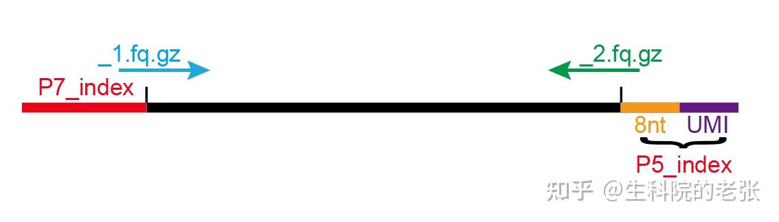 CRISPR基因编辑脱靶测序GUIDE-Seq分析教程 - 知乎