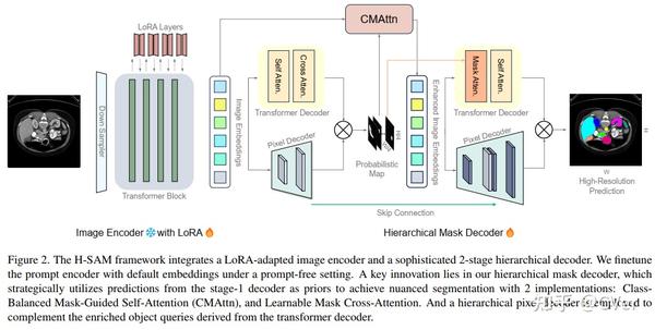 CVPR 2024 | 显著涨点！H-SAM：通过分层解码释放SAM在医学适应方面的潜力 - 知乎
