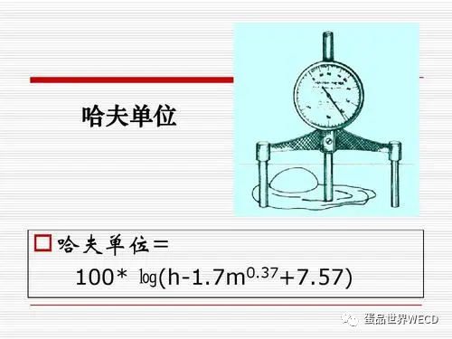 三个实用鸡蛋质量评分标准｜蛋壳、蛋白、蛋黄 - 知乎