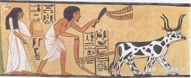 【古埃及的文化与农业现象剖析】 - 知乎