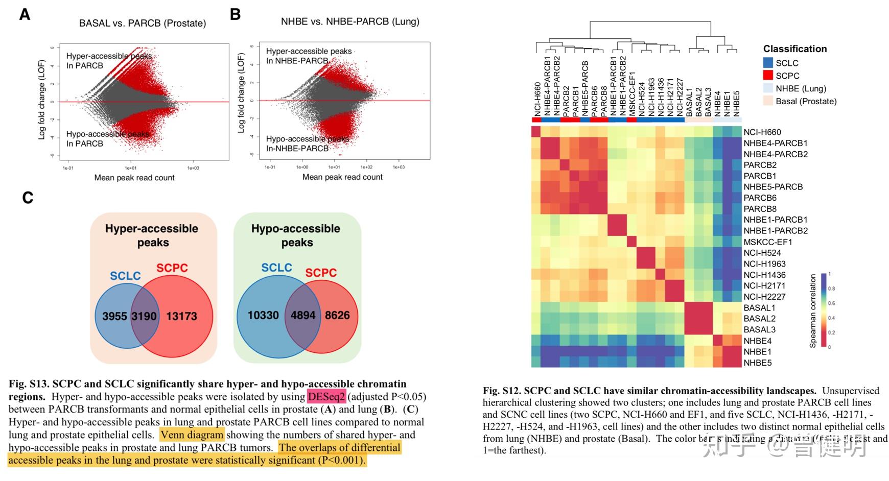 Rna Seq Pca