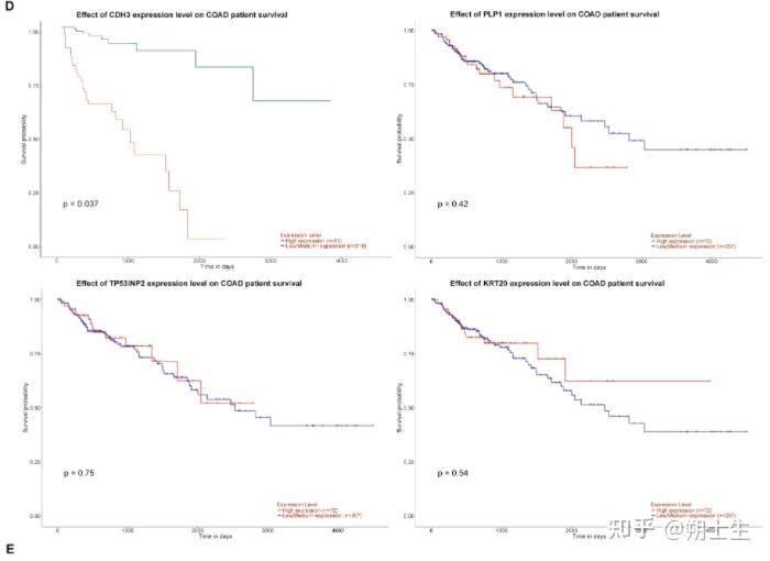 CDH3在靶向结直肠癌转移和增强免疫治疗中的协同潜力 - 知乎