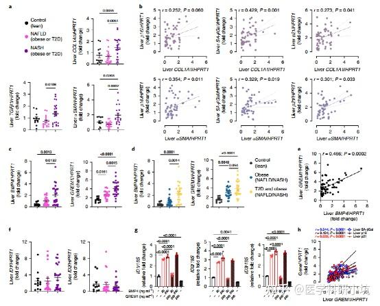 Nat Metab研究发现: BMP4和Gremlin 1在NAFLD/NASH临床进展过程中调节肝细胞衰老 - 知乎