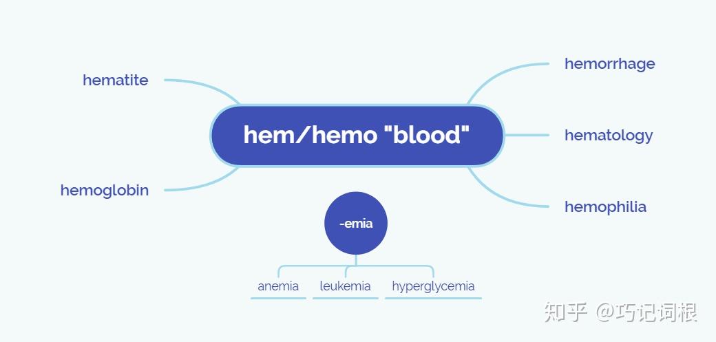 词根系列 | HEM/HEMO "blood" - 知乎