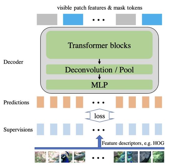 【CVPR2023】Masked Image Modeling with Local Multi-Scale Reconstruction - 知乎