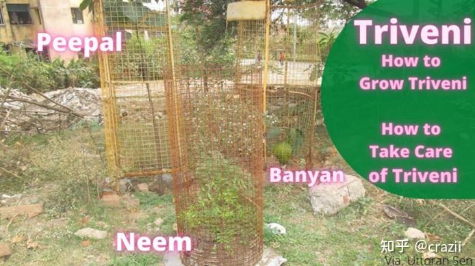 步推山海经之（一）：海外南经 - 知乎