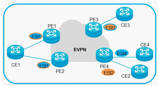 读透，什么是 EVPN ？ - 知乎