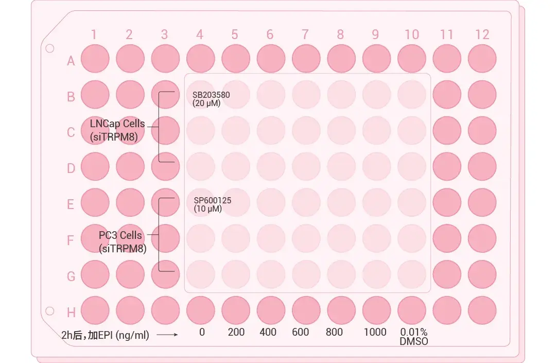 CCK-8 实验详细教程 | MedChemExpress (MCE) - 知乎