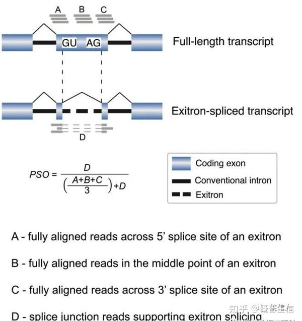 SCI生信新热点：最新可变剪切EIS - 知乎