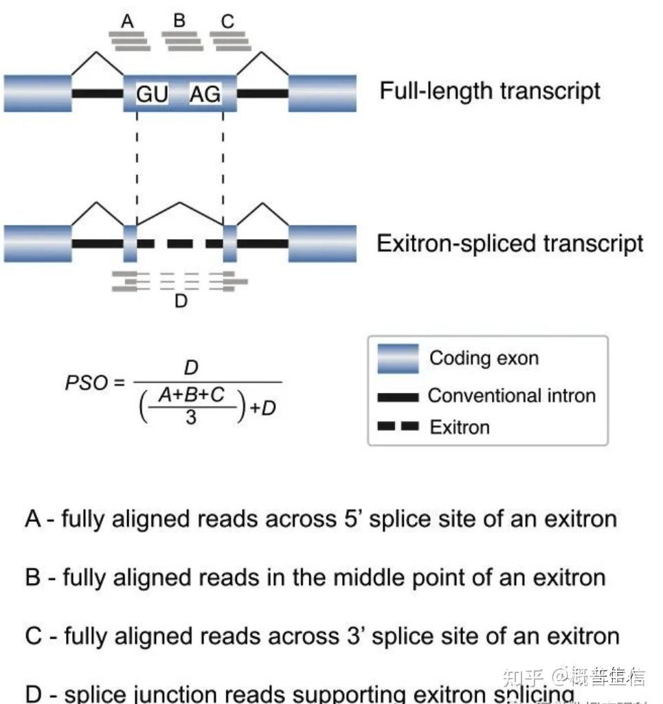 SCI生信新热点：最新可变剪切EIS - 知乎