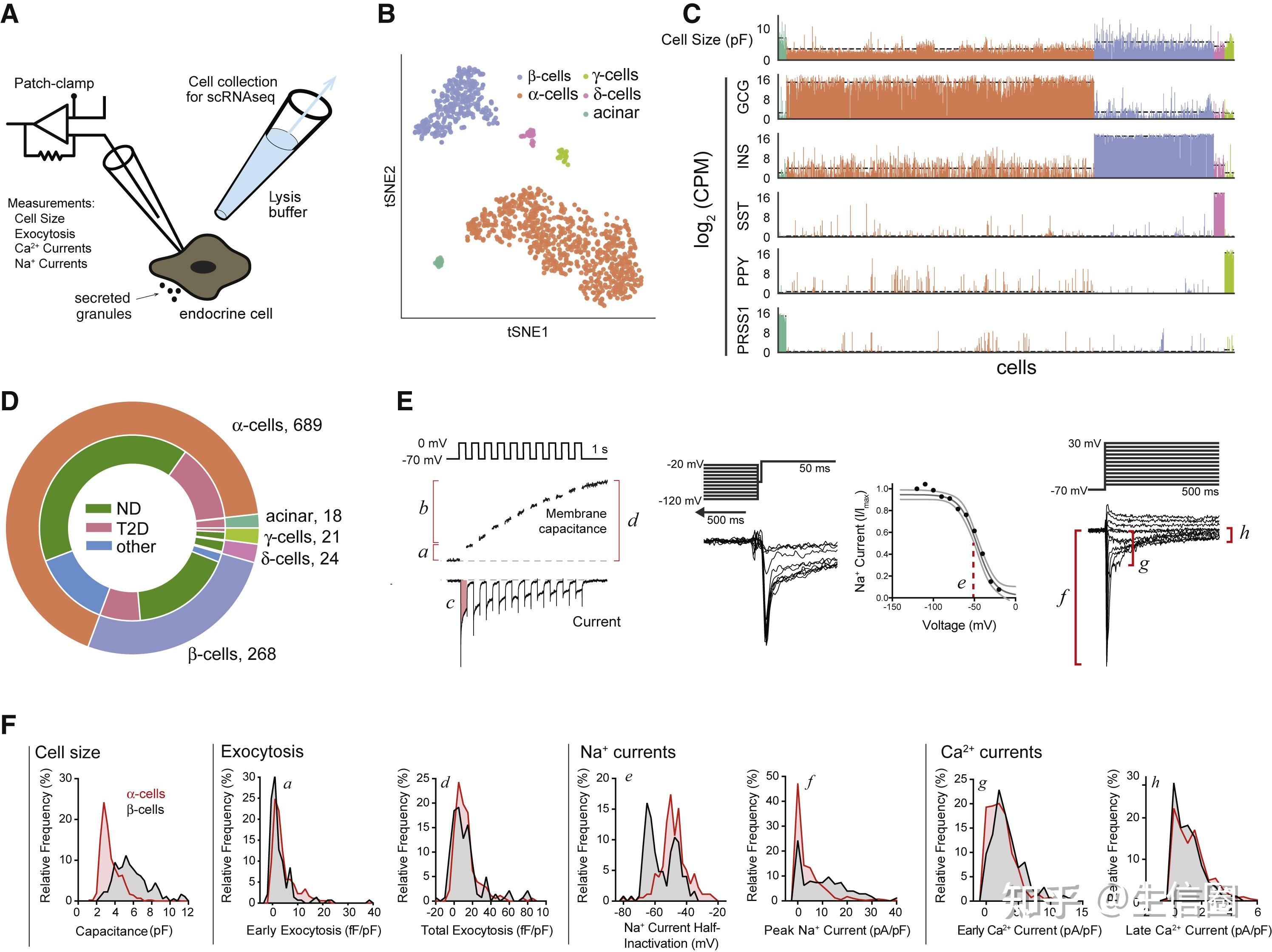 Patch-seq：将单细胞电生理表型与转录组结合 - 知乎