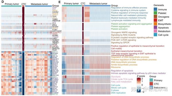 CTC也做海量单细胞转录组测序了，来看看怎么个事儿 - 知乎