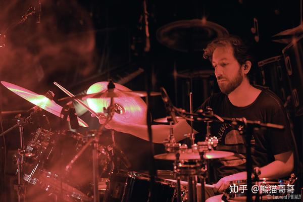 乐队推荐：Sylvan，a pop-neo-prog band - 知乎