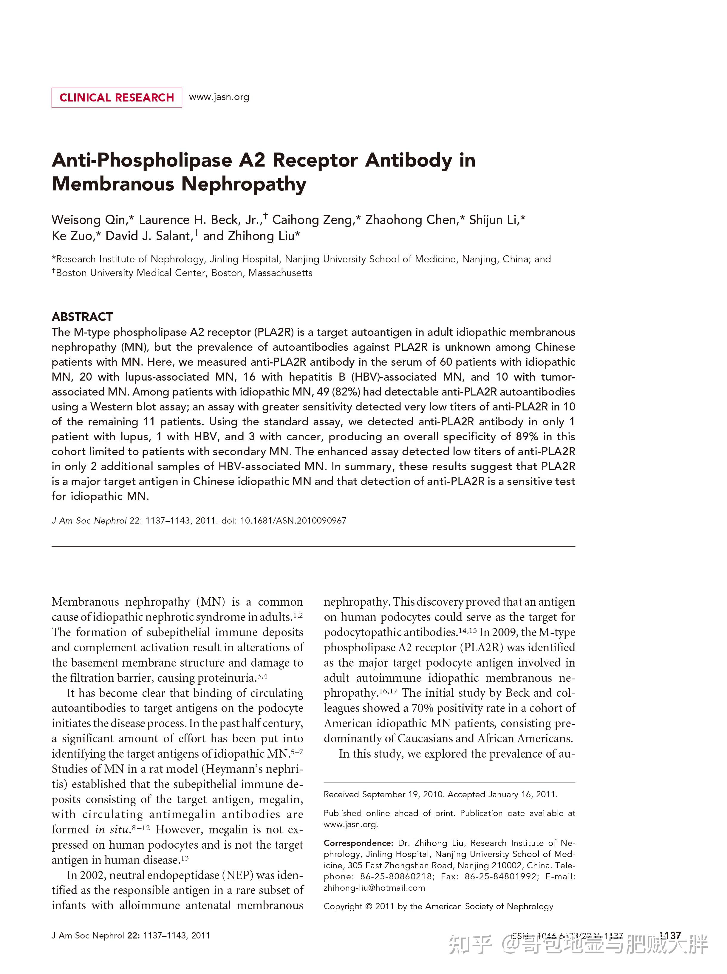 得了膜性肾病为什么医生那么强调PLA2-R？（下） - 知乎