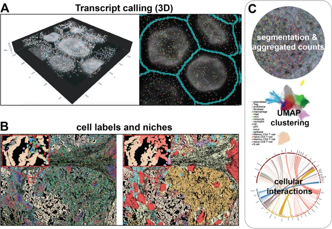Genome Biol综述 | 多模态和单细胞/亚细胞水平空间组学技术的现状及发展前景 - 知乎