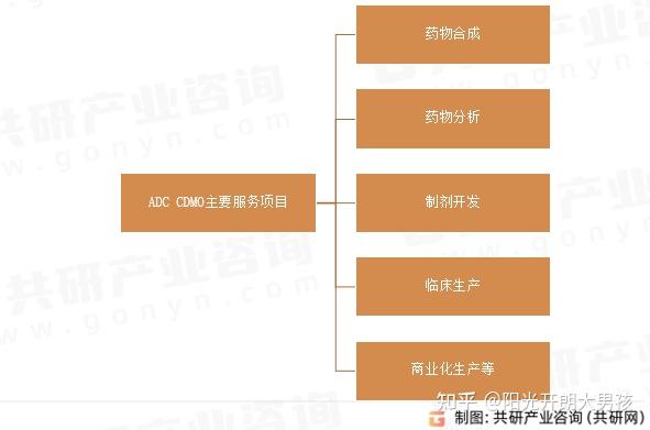 2024年全球及中国ADC CDMO未来发展趋势分析：市场规模快速增至110亿美元[图] - 知乎