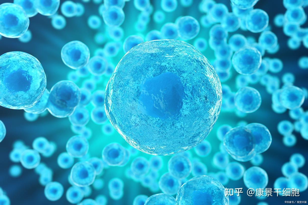 心血管疾病的“隐形杀手”，这些习惯正在摧毁你的血管！ - 知乎