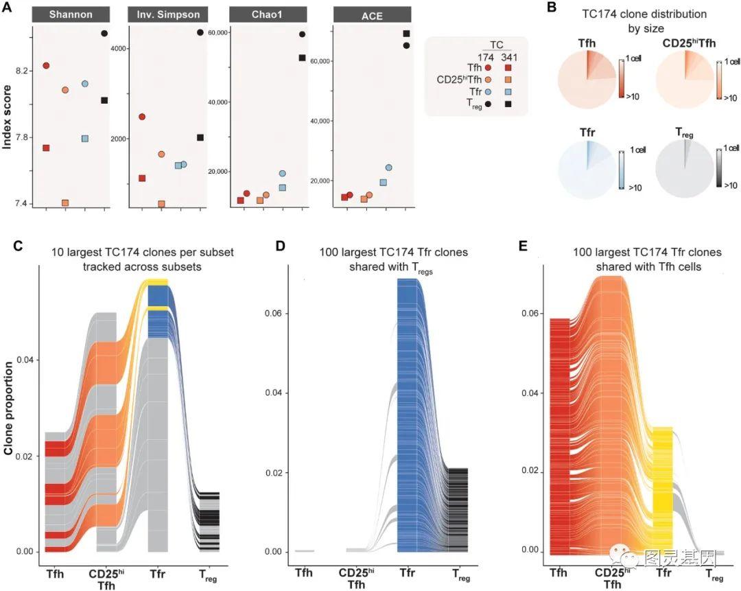 Sci Immu | 人类滤泡辅助T细胞克隆, 功能和位置异质性与免疫机制 - 知乎