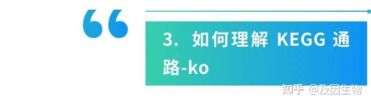 KEGG数据库最全介绍，一起来看看吧 - 知乎