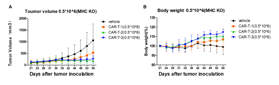 【聚焦研发领域】B-NDG及系列小鼠特辑 - 知乎