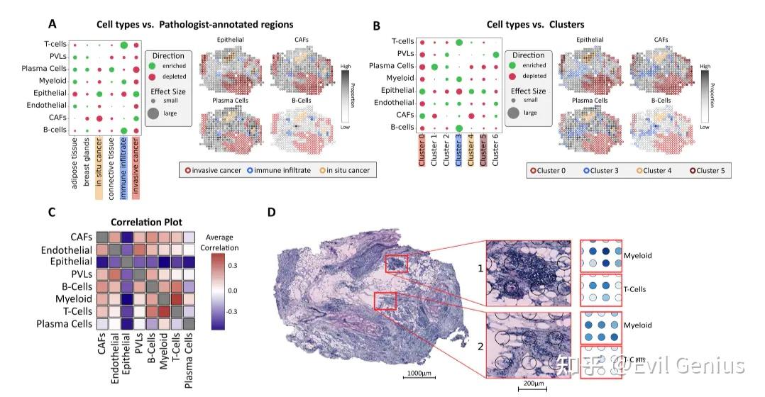 单细胞空间联合分析方法之文献运用篇 - 知乎