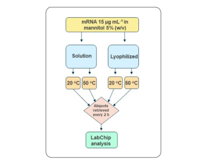 瑞孚迪LabChip GXII Touch系统：高灵敏、高通量的mRNA纯度和稳定性评估利器-上海玮驰仪器有限公司