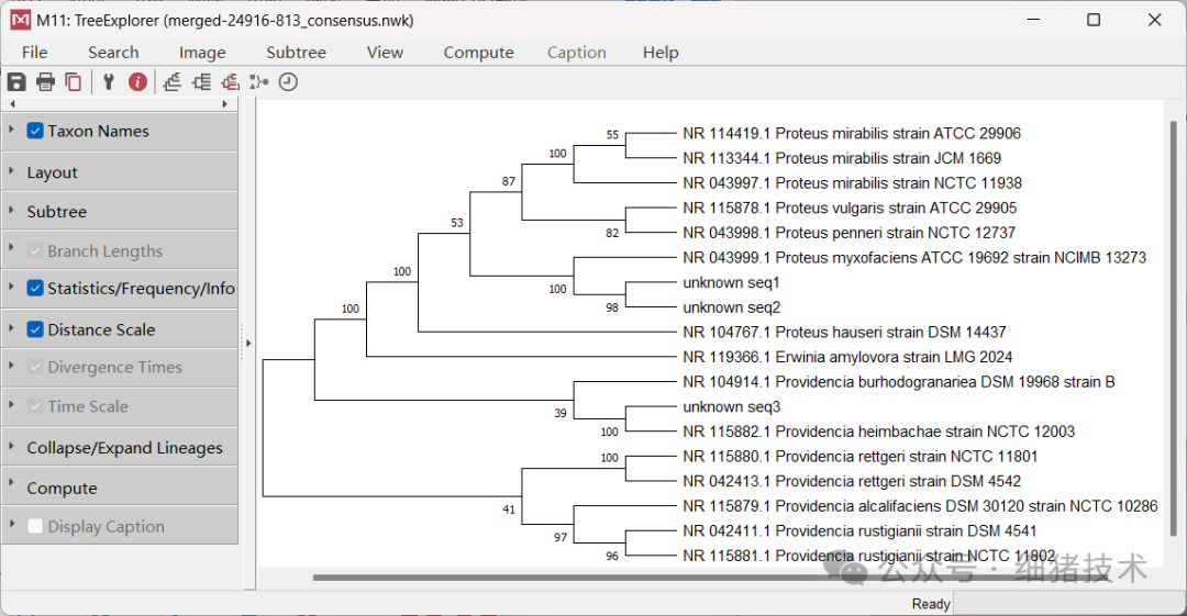 MEGA-CC程序使用方法 - 知乎