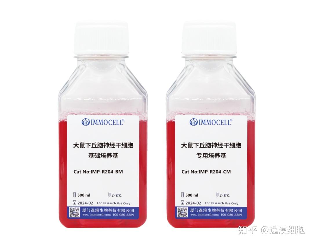 大鼠下丘脑神经干细胞（NSCs）分离培养 - 知乎