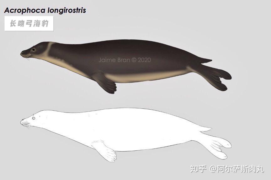 The Elegy of Waves |“波涛挽歌” - 知乎