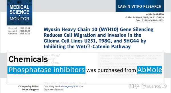 AbMole科研-肌球蛋白重链10基因沉默减少U251、T98G和SHG44中的细胞迁移和侵袭 - 知乎