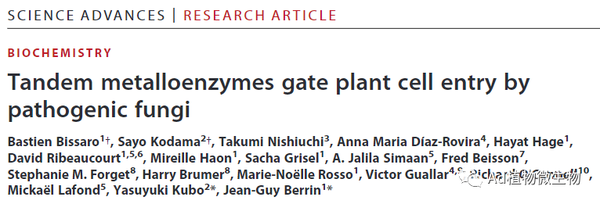 Science Advances | 研究揭示病原真菌侵染植物的新机制！ - 知乎
