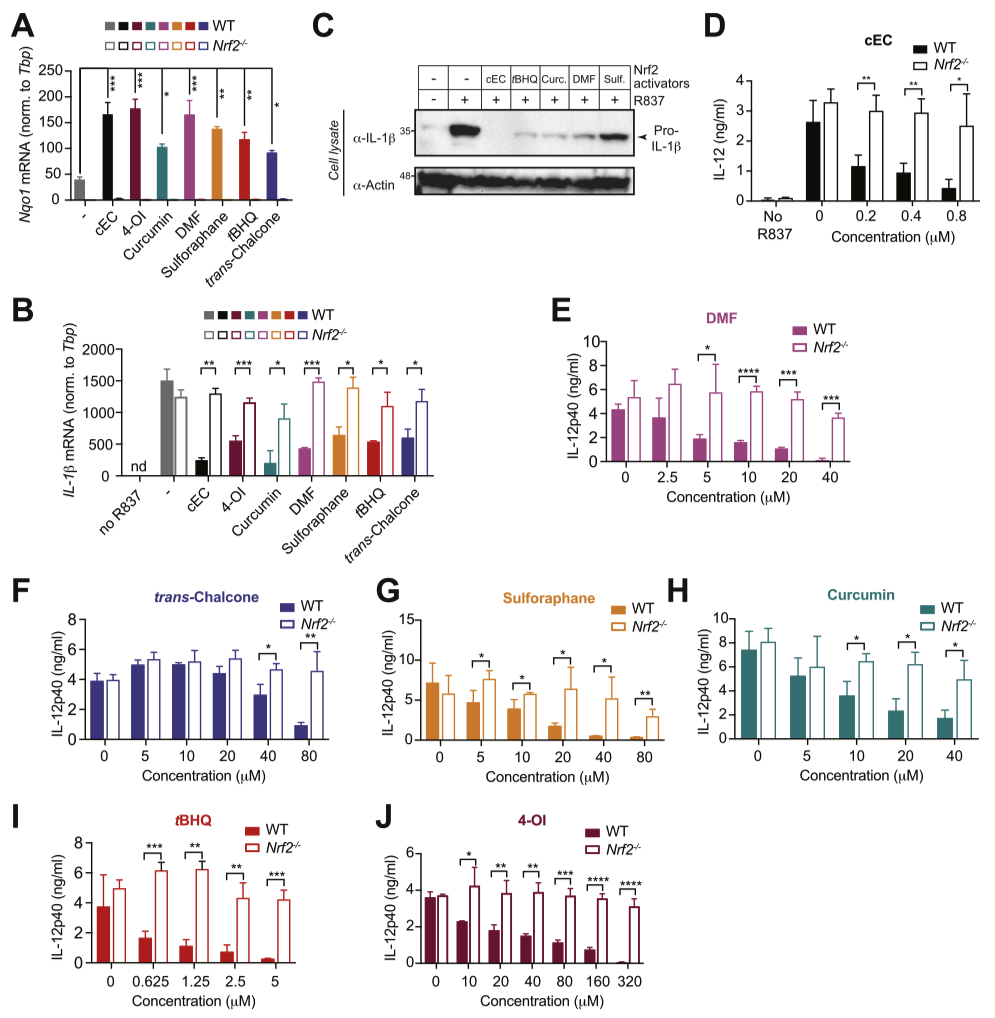 Redox Biology丨亲电 Nrf2 激活剂和衣康酸在低剂量时抑制炎症，在高剂量时促进 IL-1β 生成和炎症细胞凋亡 - 知乎